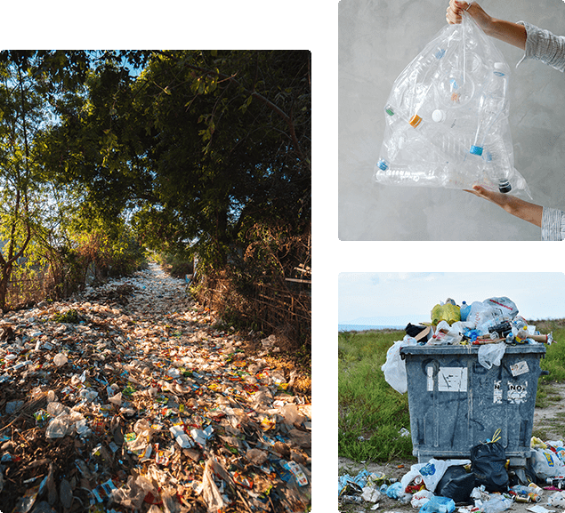 EPR Services – Eco-Vision